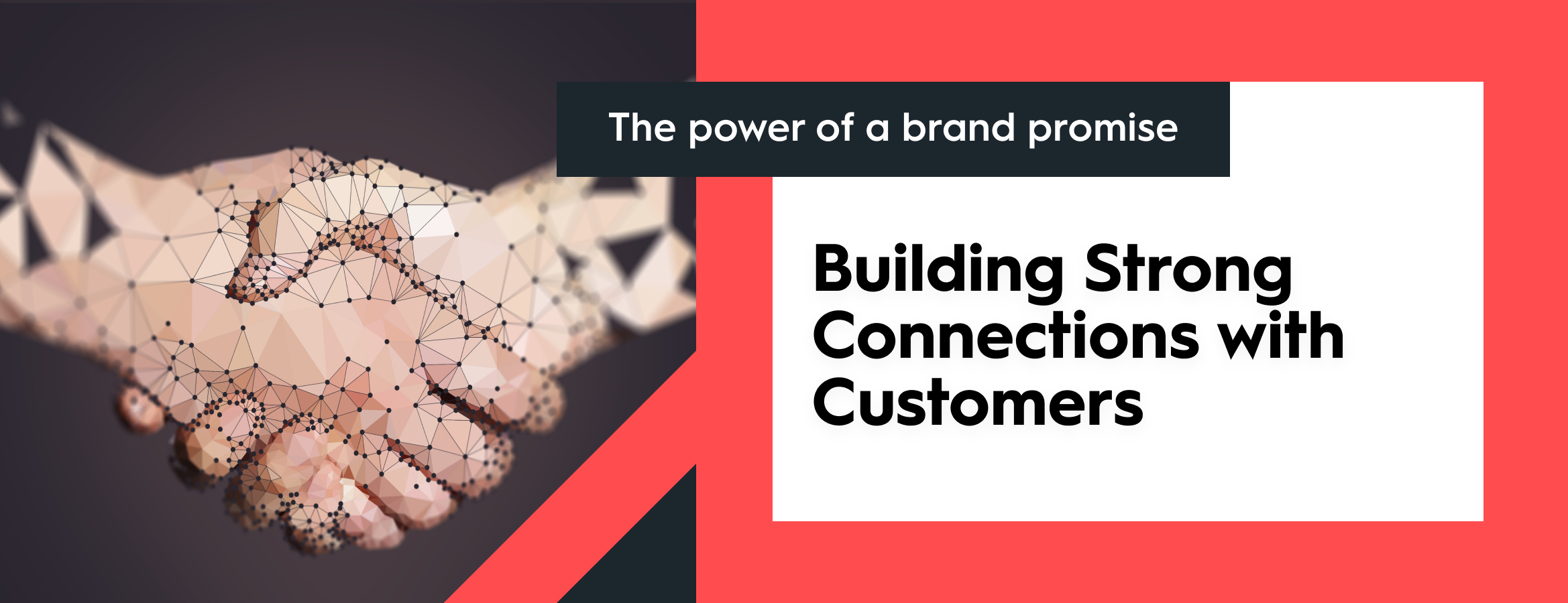 The Brand Promise Power: Forging Strong Customer Connections